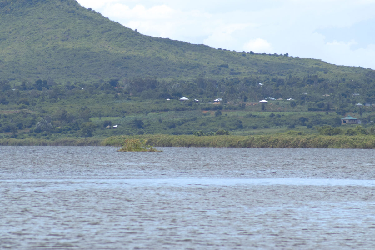 Conservation versus Investment; the Case of Yala Swamp, Kenya’s Largest ...