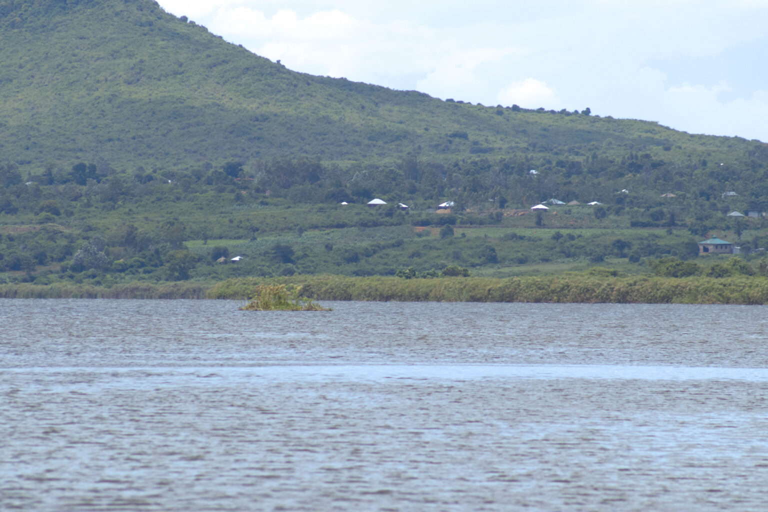 Conservation versus Investment; the Case of Yala Swamp, Kenya’s Largest ...