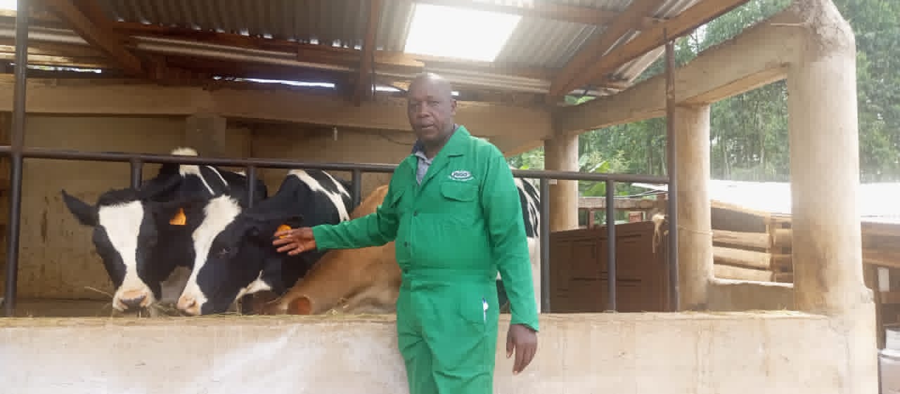 The Role of Small-Scale Livestock Farming in Food Security in the face ...