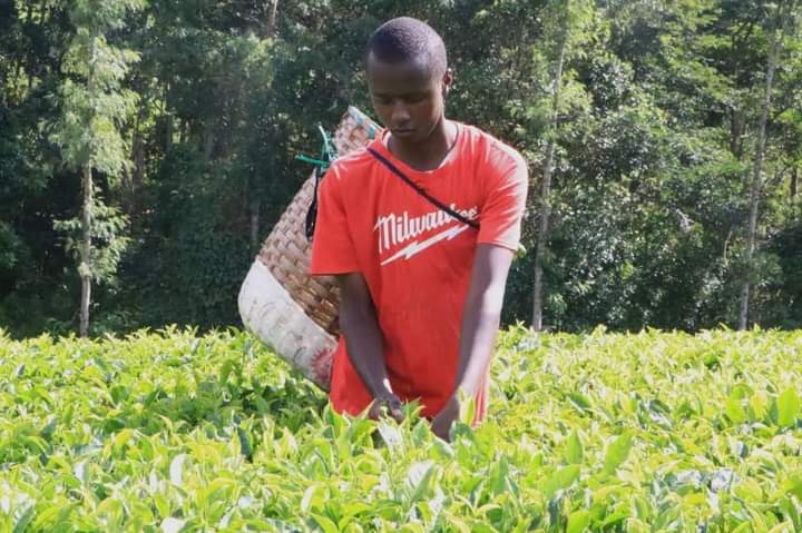 NEWS IN BRIEF 9 January 2024 - The Mt Kenya Times