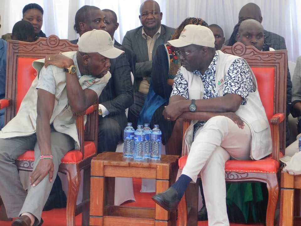 Trans Nzoia: Reviving "The Black Gold" As Coffee Farmers Call For Full ...