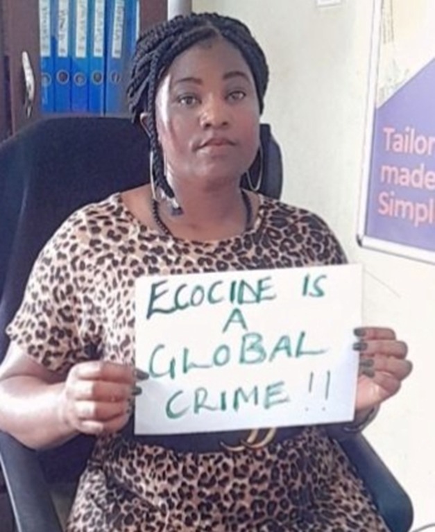 Ecocide As A Criminal Act: Unveiling The Enormous Damage To The African ...