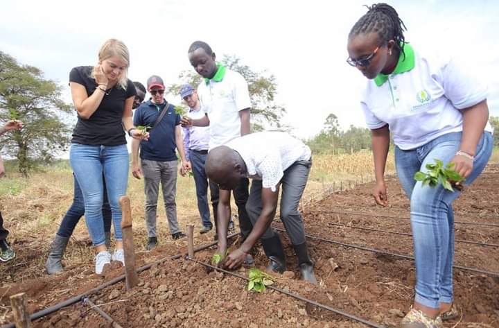 Kiambu Farmer Earns Sh760,000 From Short-Term Crops - The Mt Kenya Times