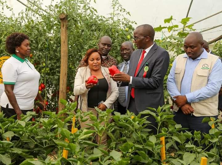 Nakuru County Adopts Advanced Farming Techniques To Enhance ...