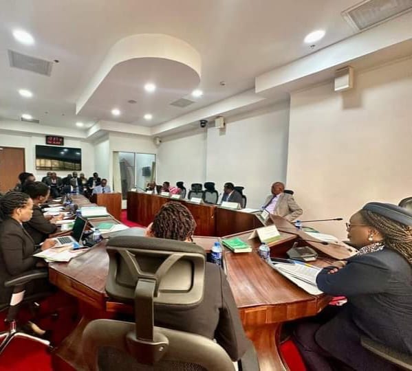 Parliamentary Committee Takes IPOA To Task Over Police Oversight Role ...