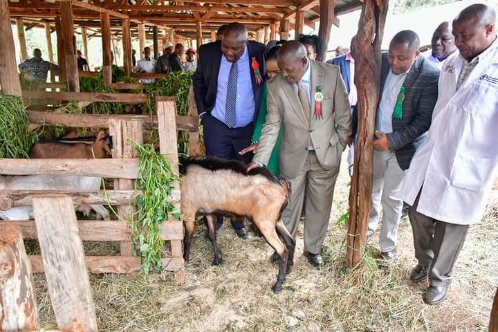 Central Kenya ASK Show In Photos - The Mt Kenya Times