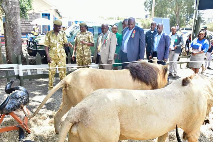 Central Kenya ASK Show In Photos - The Mt Kenya Times