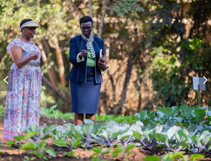 First Lady Pilots A National Kitchen Gardens Initiative Targeting Women ...