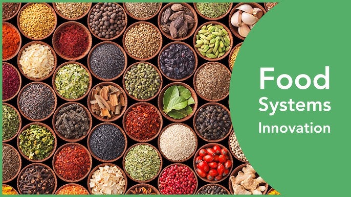Cultivating Stability: The Urgent Need For Steady Food Supply To Ensure ...